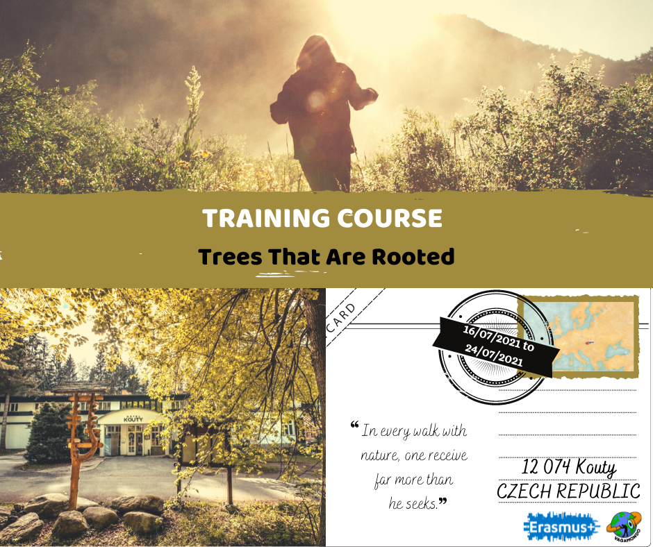 Training Course - Trees That Are Rooted 🌳 - Vagamondo